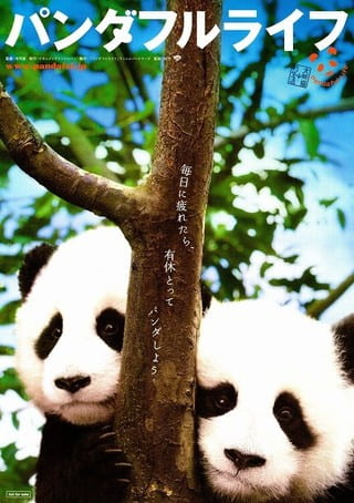 Pandaful Life | Pandaful Life | cORE cONNECTIONS