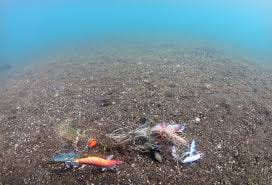 Underwater problems due to fishing ③ | Underwater problems due to ...